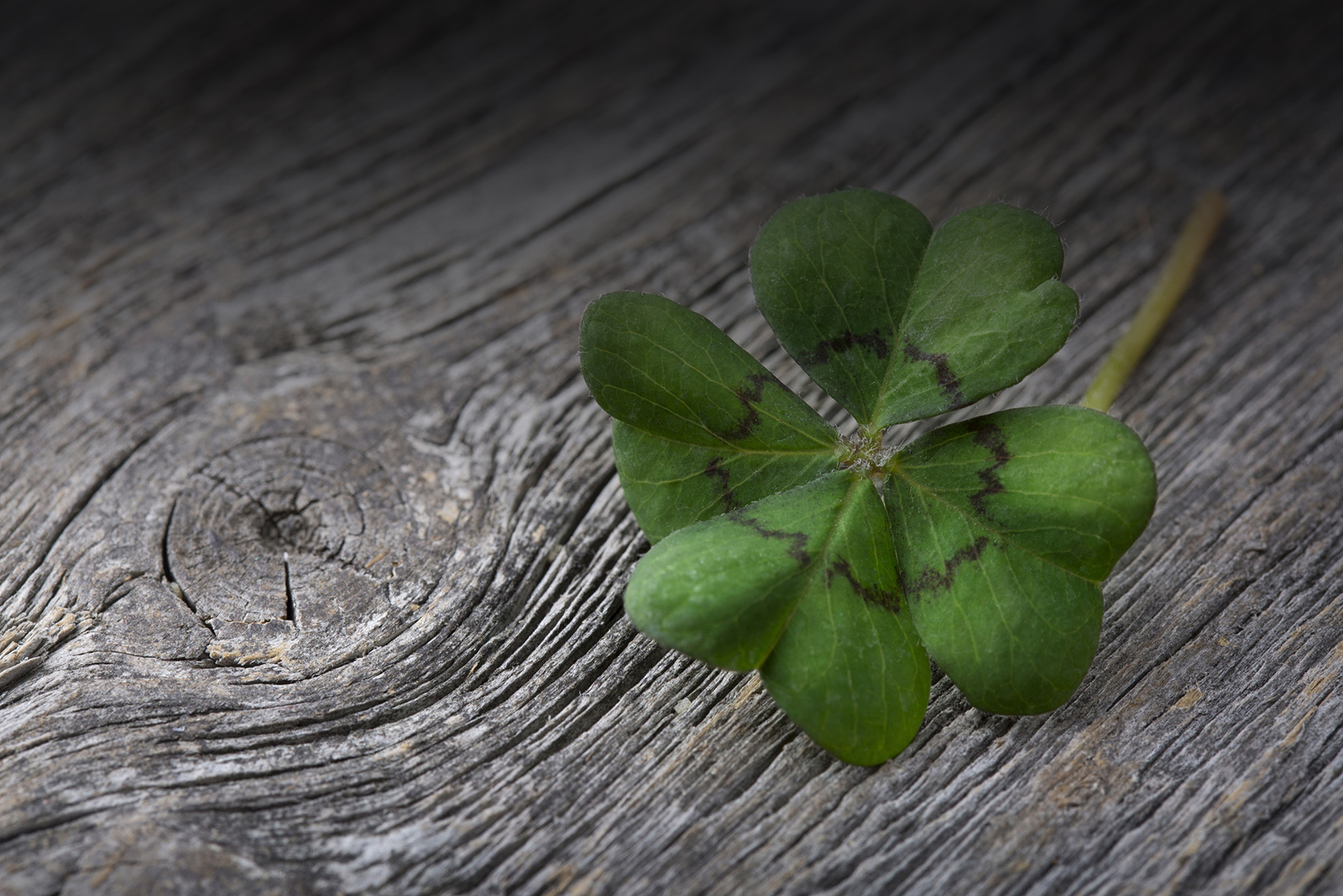 ESG Integration/RI Policy - Barrantagh Investment Management